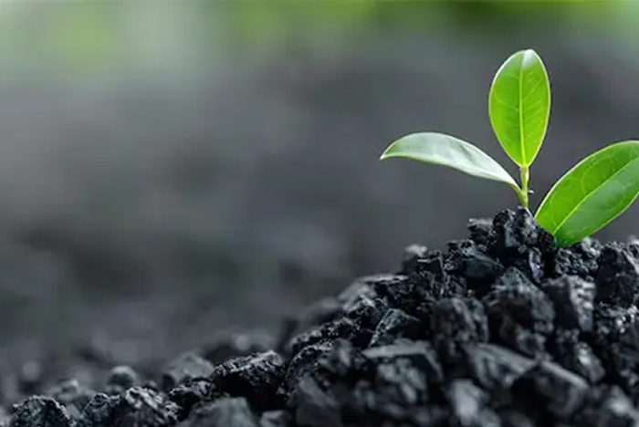 Biochar as a powerful waste-to-carbon technology